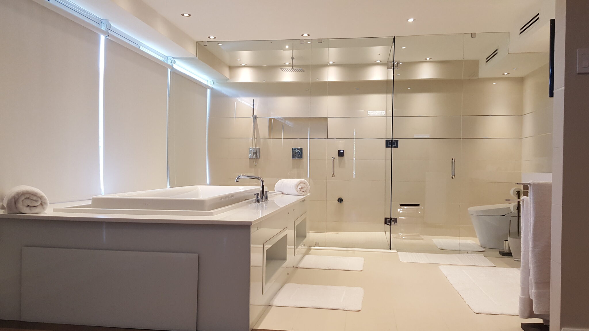 The Role of High End Glass in Luxury Home Design - VistaView